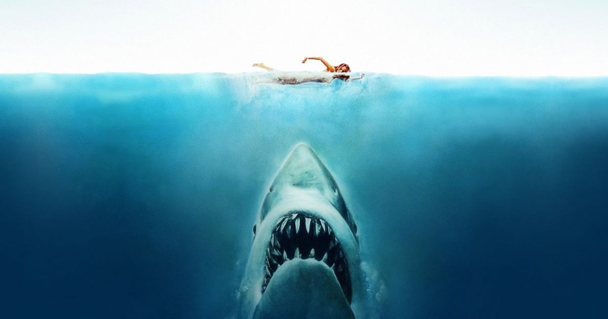 The Water is Not Safe: How Hollywood Made Us Afraid of Sharks | Dead ...